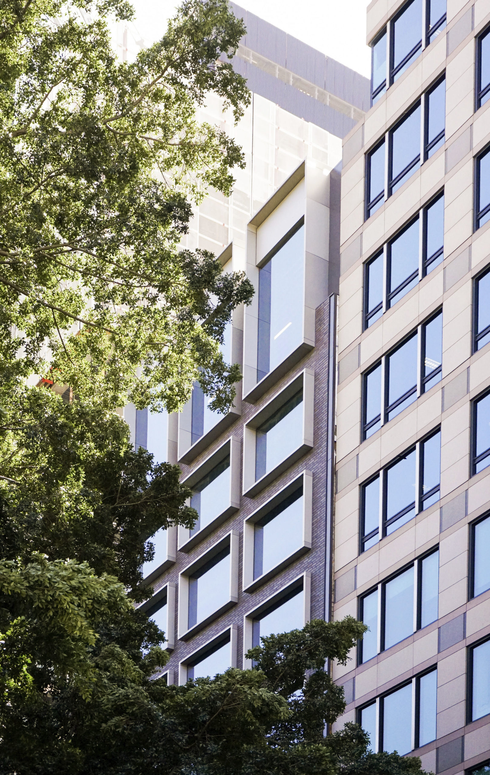 36 Carrington Street - Make Architects