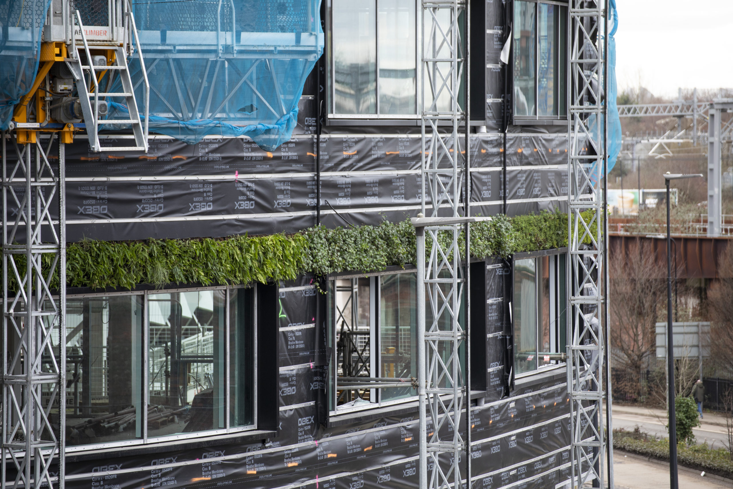Eden is planting out in Salford - Make Architects